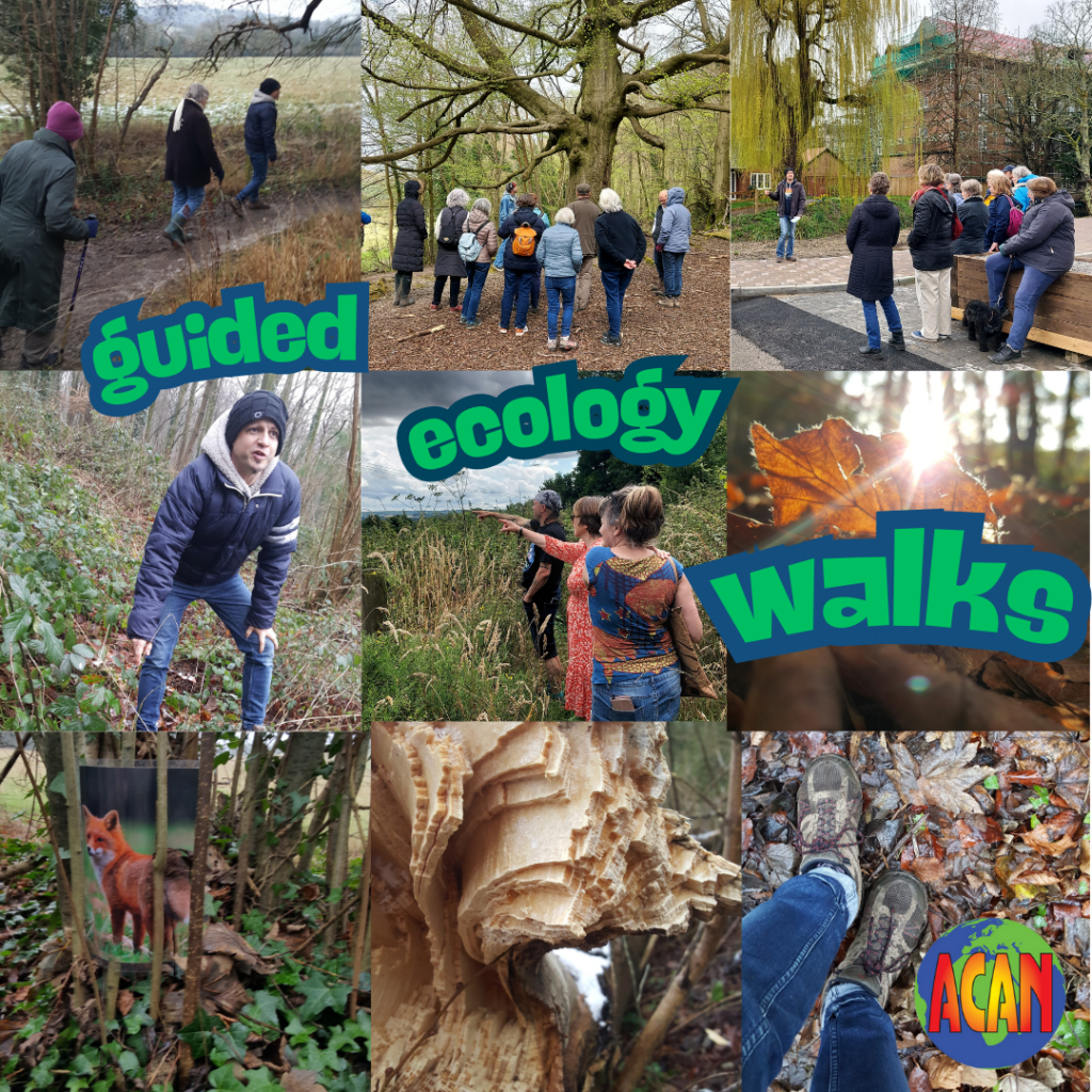 ACAN Eco-Streets Guided Nature Walk – Chawton – Alton Climate Action ...